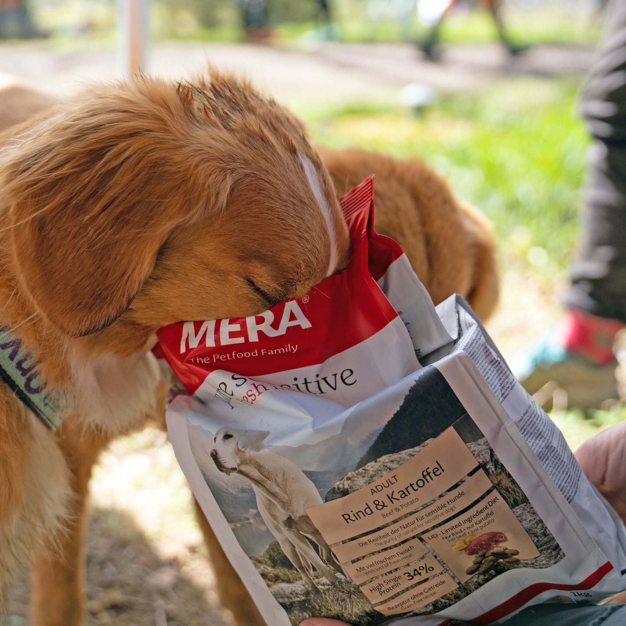 Hund - mera - The Petfood Family - Hundmat online - Snabba leveranser